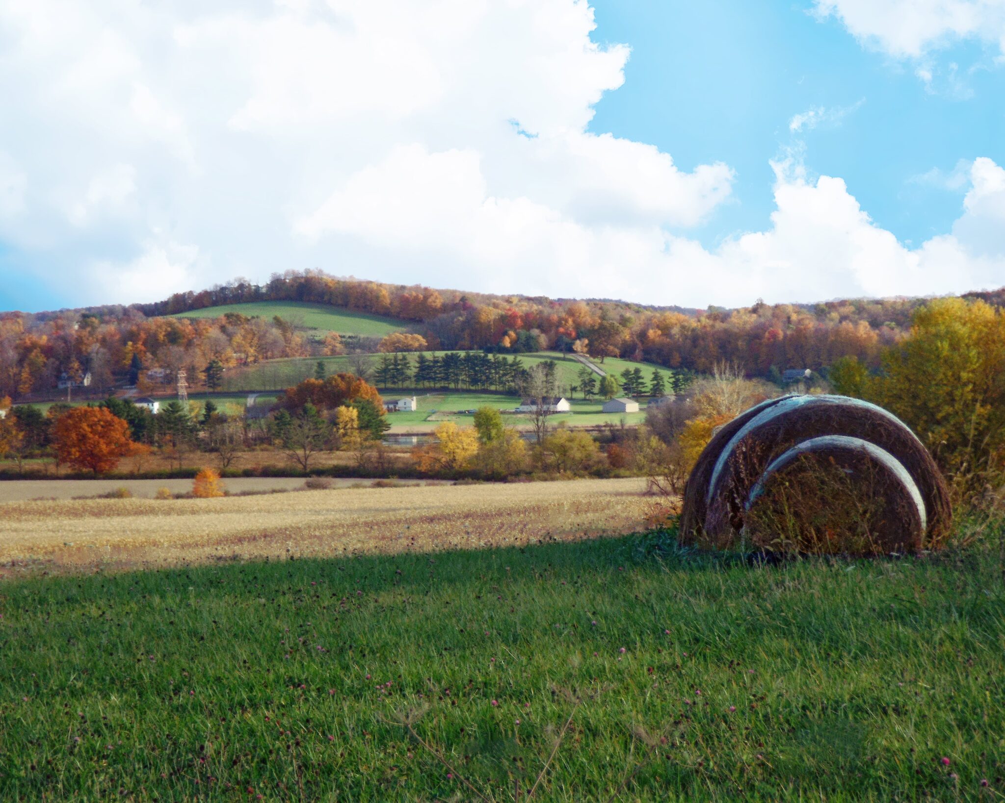 Visit Newark, OH - Visitor Resources and Information